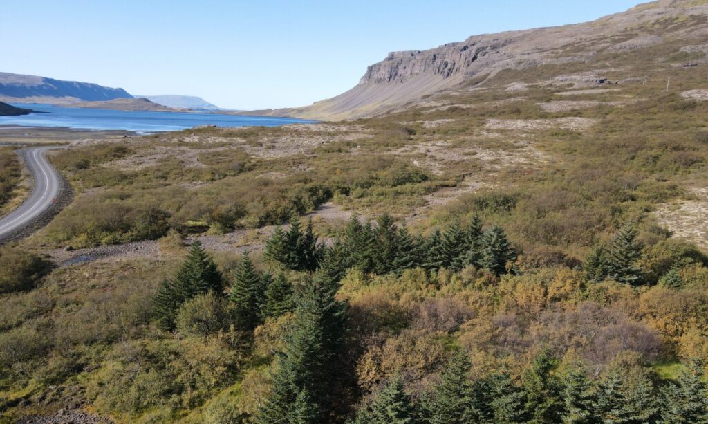 About us – Naturally Iceland